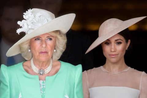 This 73-Year-Old Bodybuilder Is Shattering Stereotypes and Living Life ...