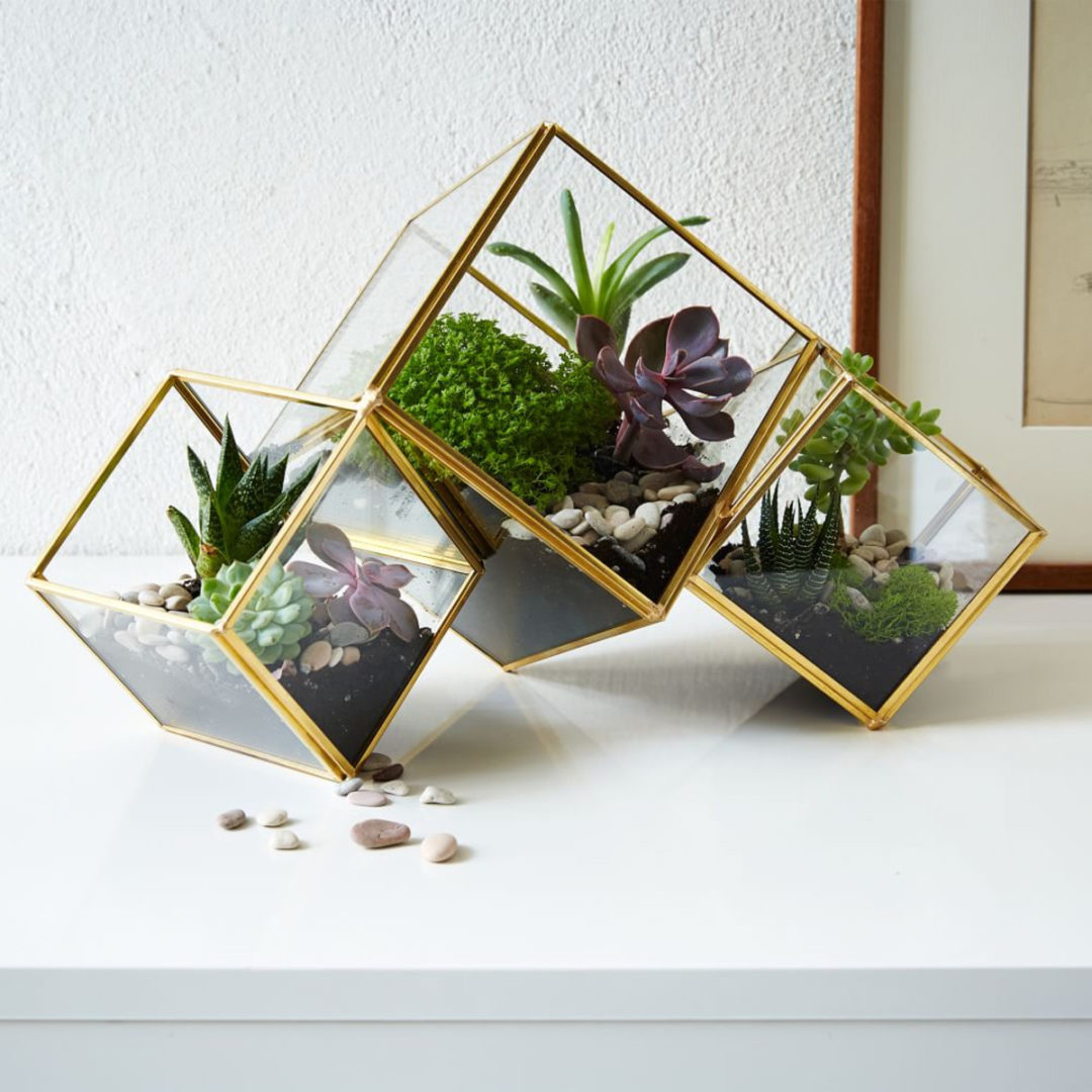 Decorative Terrariums That Look Like Great Work of Art