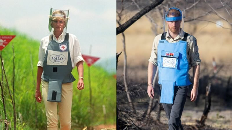 Prince Harry and Prince William ‘carry on Diana’s legacy through how ...