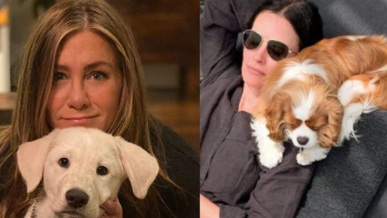 Jennifer Aniston & Courteney Cox celebrate National Dog Day by Sharing ...