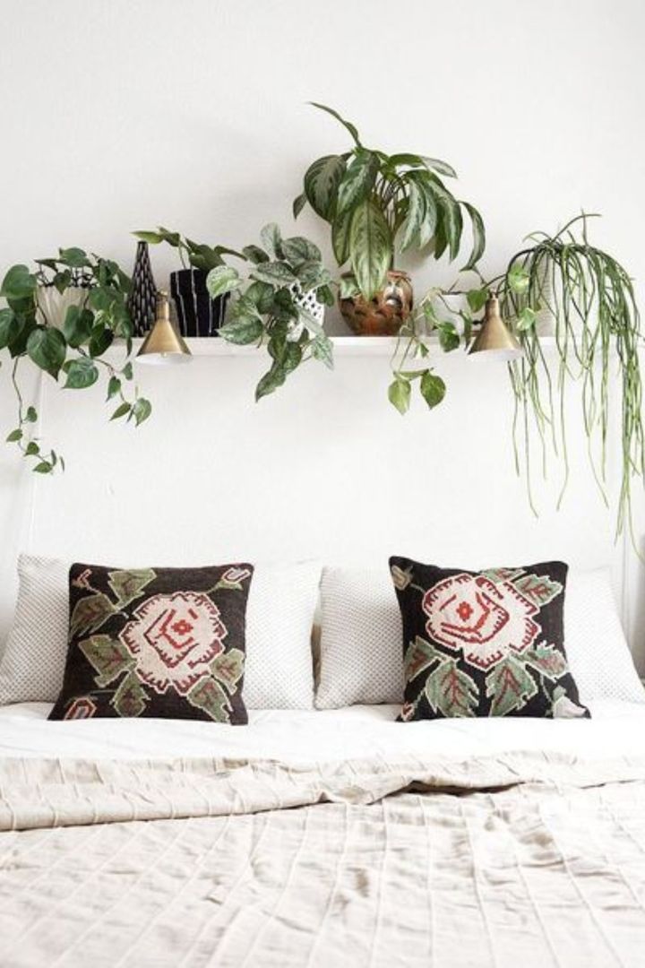 9 Ways to Decorate with Plants On Shelves