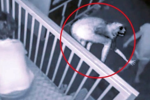 Social Media Model Maecee Marie Lathers Breaks Down in Court as Judge ...