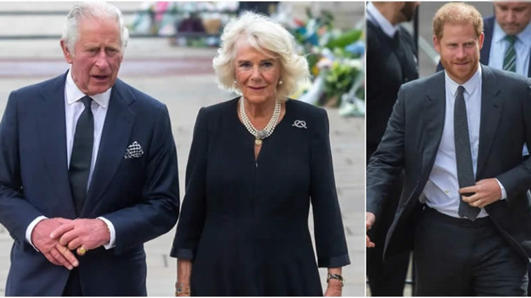Camilla's Pivotal Influence in King Charles and Prince Harry's Royal Rift