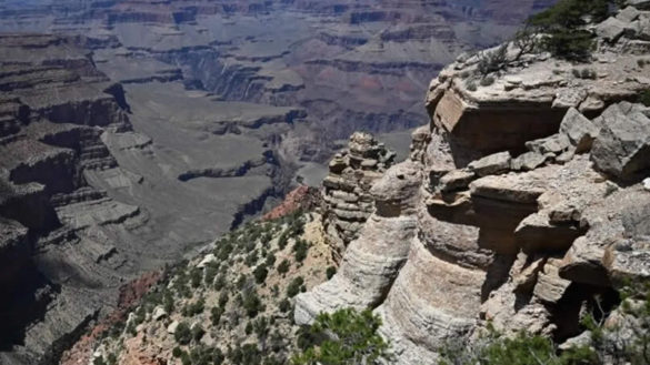 Teen's Survival After 100ft Grand Canyon Fall