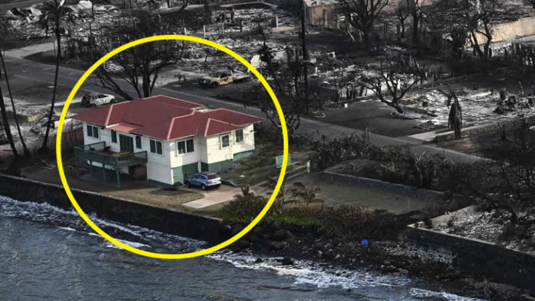 How Did Viral Red-Roofed House Survive Hawaii Wildfires? Owner Explains