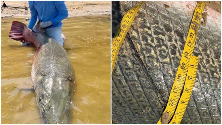 Giant from the Depths: Angler's Astonishing Texas Catch Could Shatter ...