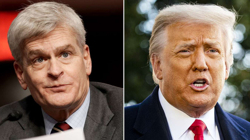 Trump targets Bill Cassidy with endorsement of potential republican ...